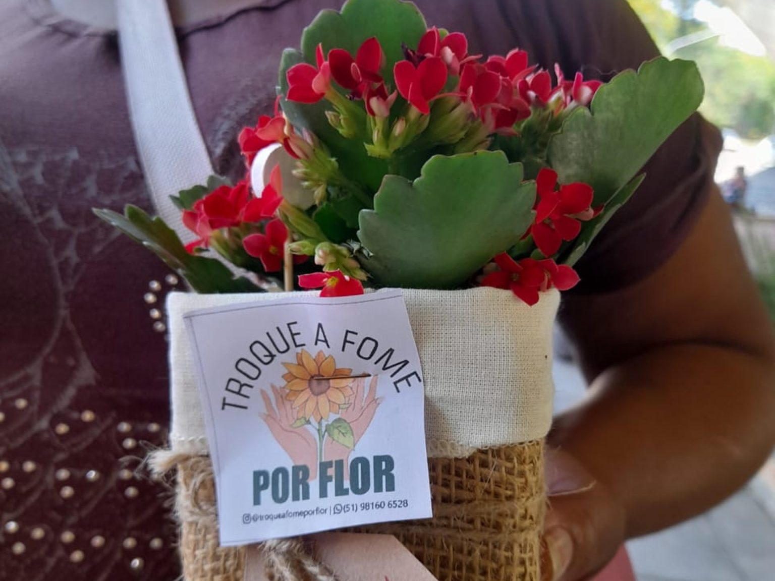 Substituir a fome por flores: um novo modelo de serviço social no ...
